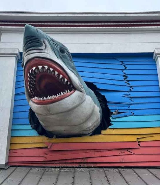 maryland surreal museum visit ftr