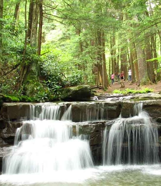 maryland surreal state park ftr