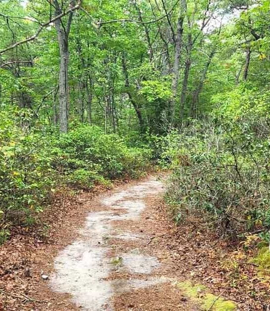 maryland trails short miles ftr