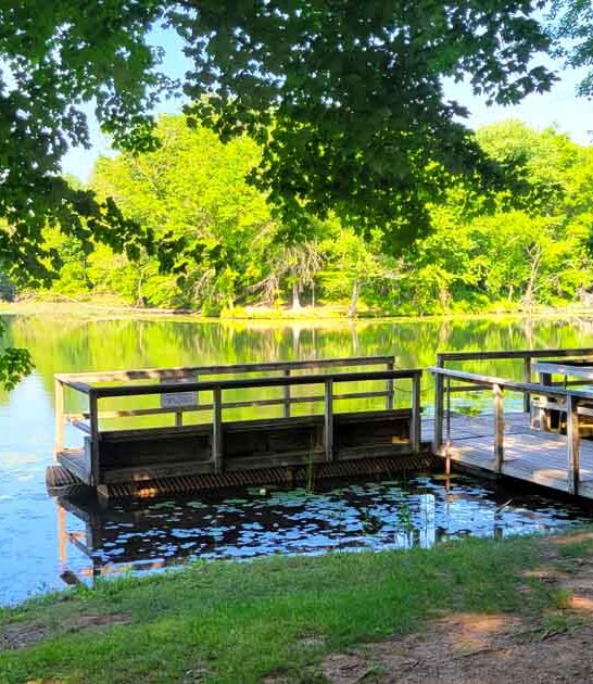 maryland underrated lake park ftr