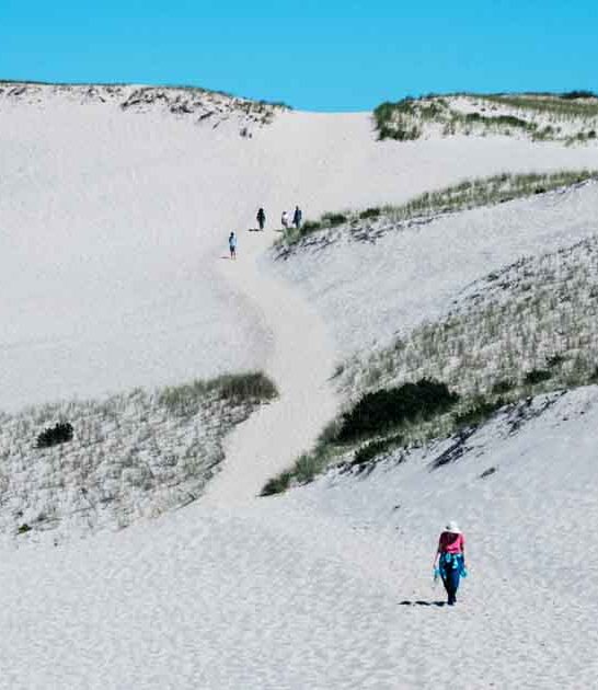 massachusetts desert like trail ftr