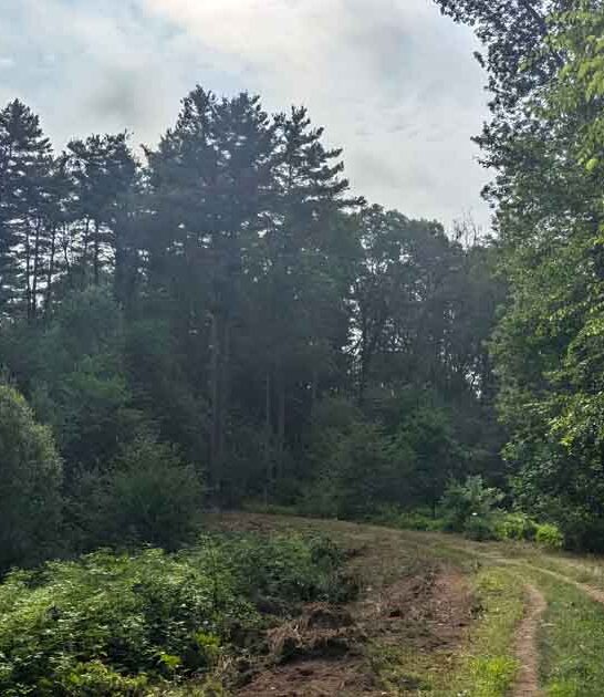 massachusetts easy hike trails ftr