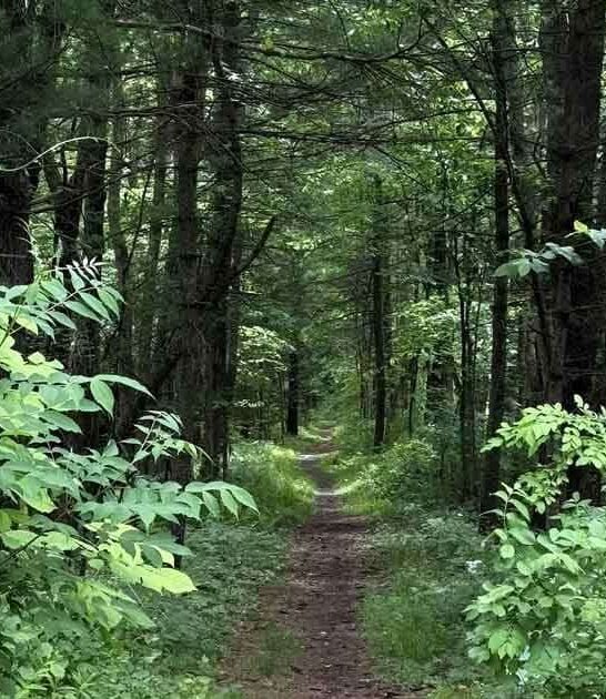massachusetts gorgeous hikes miles ftr
