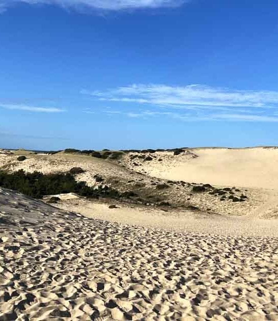 massachusetts sand dune hike ftr
