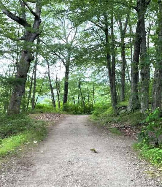 massachusetts short sweet hikes ftr