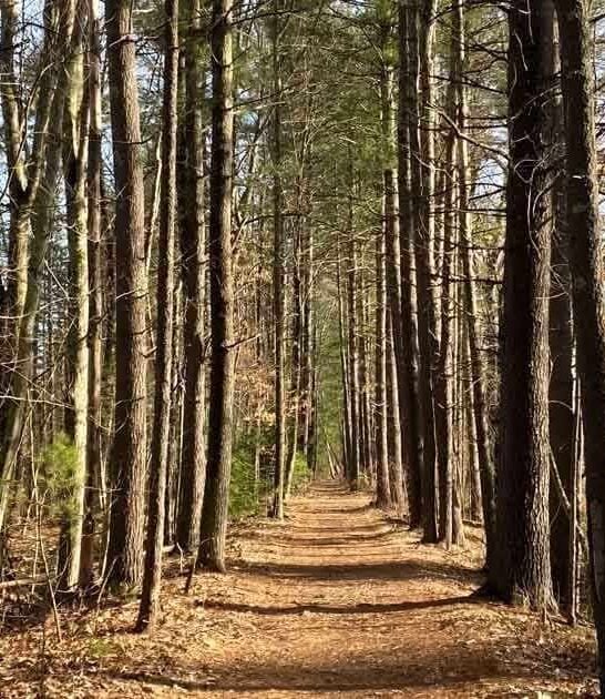 massachusetts unforgettable family hikes ftr