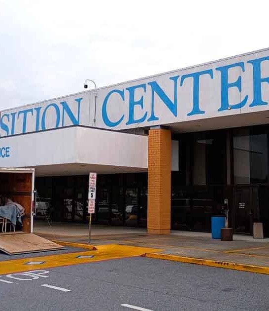 massive antique georgia blow ftr