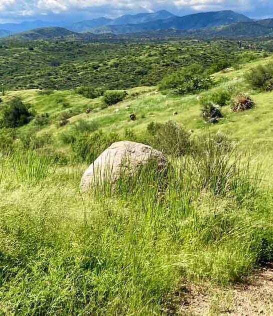 massive arizona state park ftr