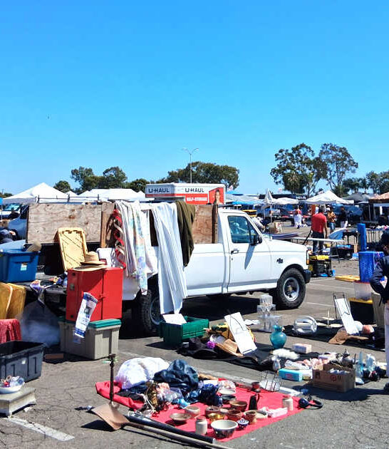 massive california flea armfuls ftr