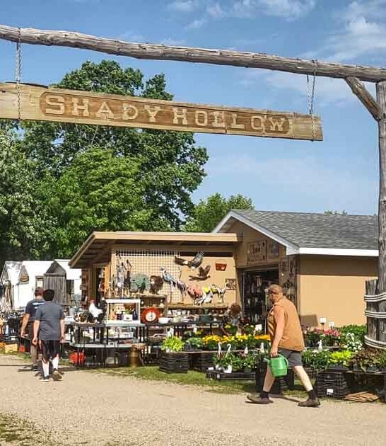 massive markets minnesota favorite ftr