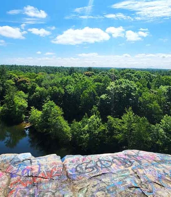 massive massachusetts forest wonderful ftr