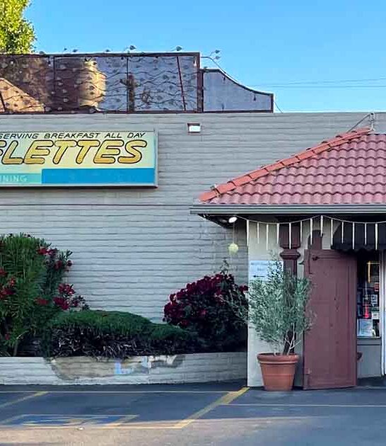 massive omelet combinations arizona ftr