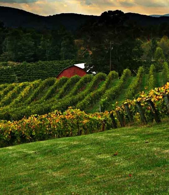 mesmerizing georgia town ftr