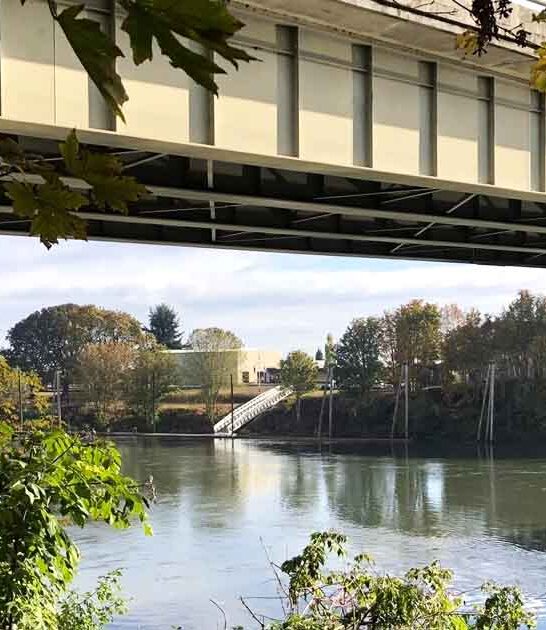 mesmerizing views riverwalk oregon ftr