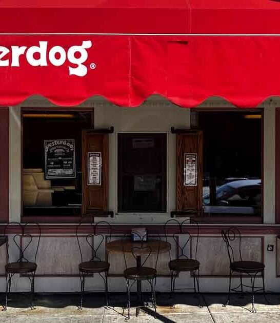 michigan chili dogs joint ftr