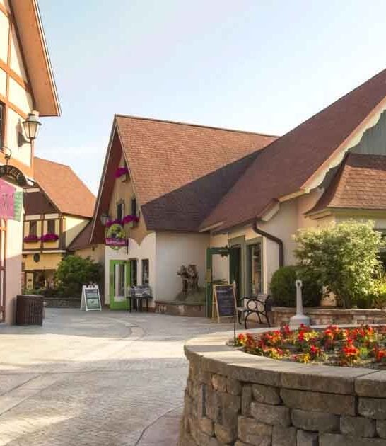 michigan german inspired town ftr