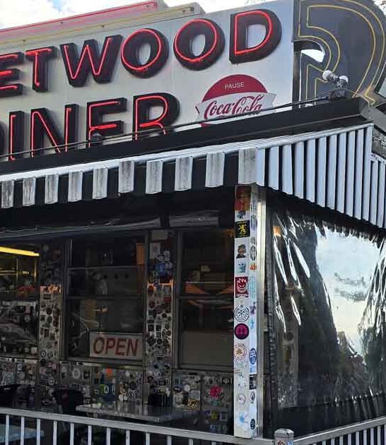 michigan hippie hash diner ftr