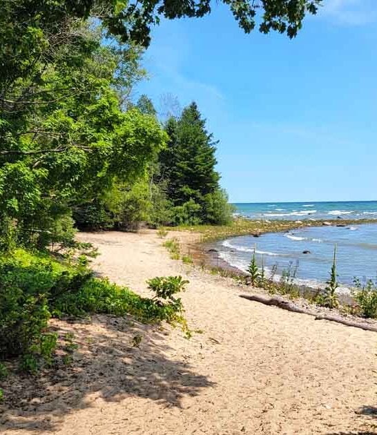 michigan incredible state park ftr