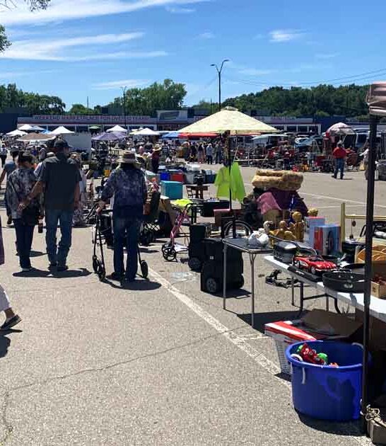 michigan markets flea massive ftr