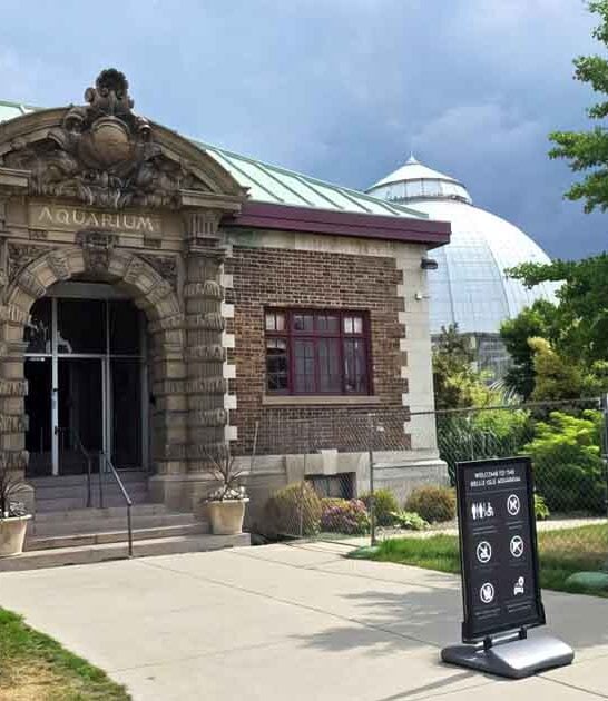 michigan unique tunnel walk ftr