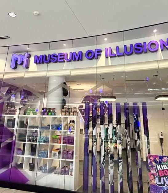 mind bending museum minnesota ftr