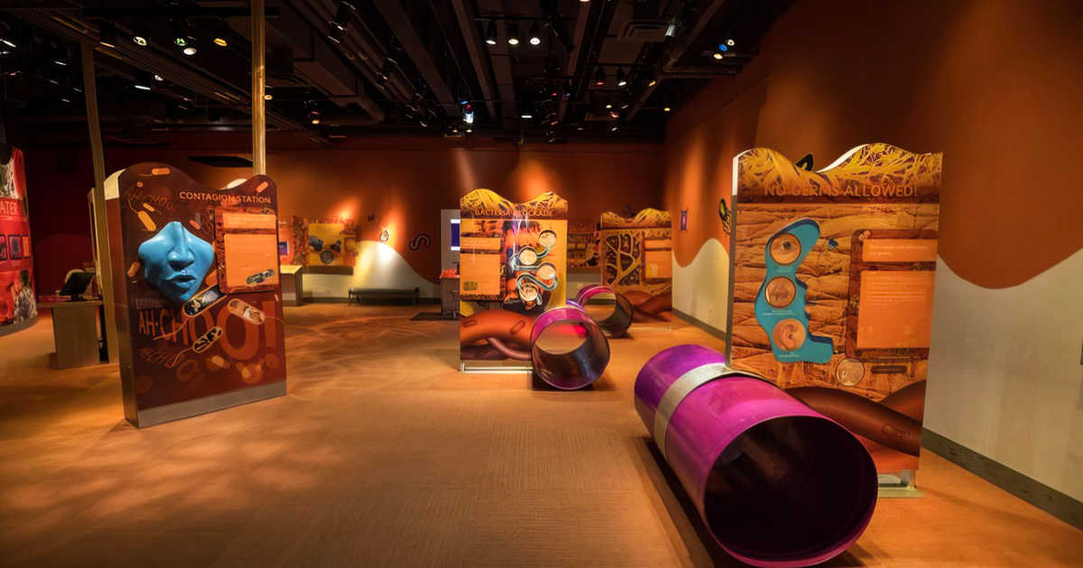 This Mind-Bending Interactive Art Exhibit In New Jersey Will Make You ...