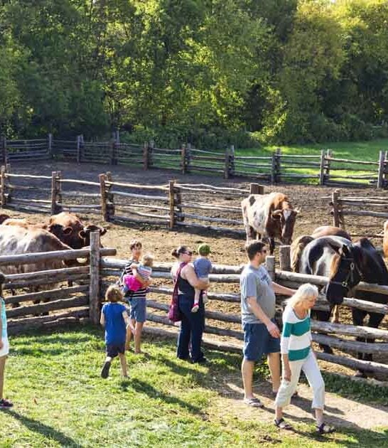 minnesota farm american agriculture ftr