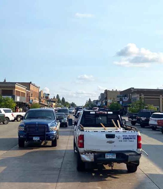 minnesota forest adventure town ftr