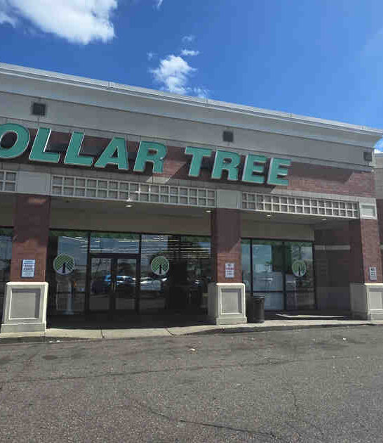 minnesota gigantic dollar store ftr