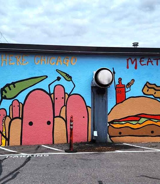 minnesota hot dog spot ftr