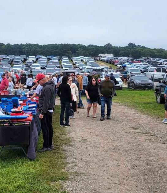 minnesota markets flea wonderful ftr