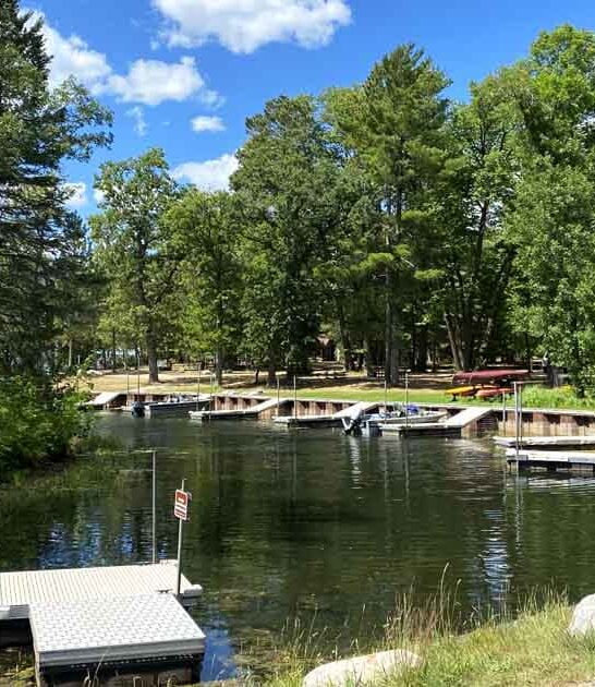 minnesota pine covered park ftr