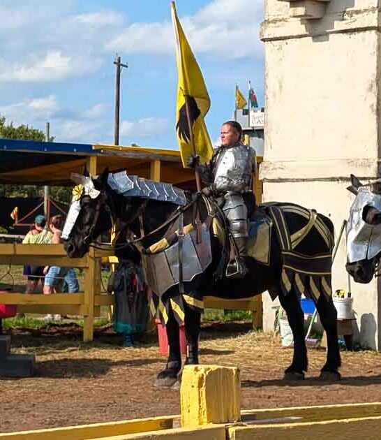 minnesota renaissance festival film ftr
