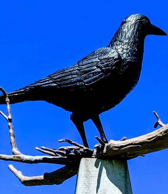 minnesota weird roadside attractions ftr