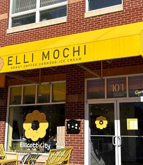 mochi donut maryland bakery ftr