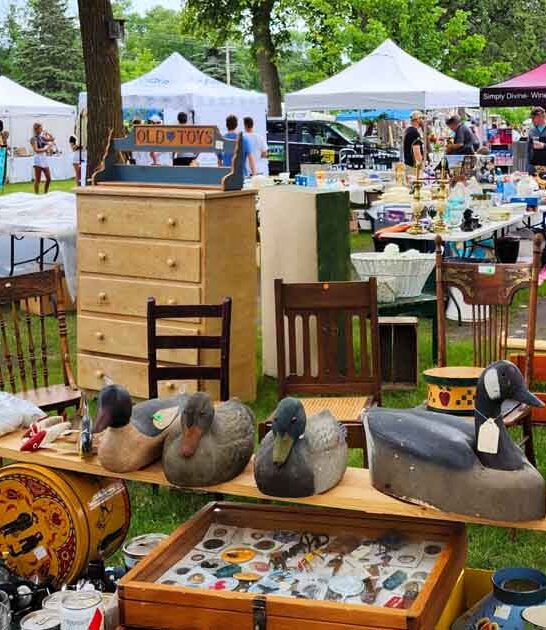 more flea market minnesota ftr