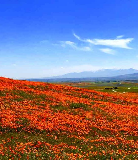 most dazzling places california ftr