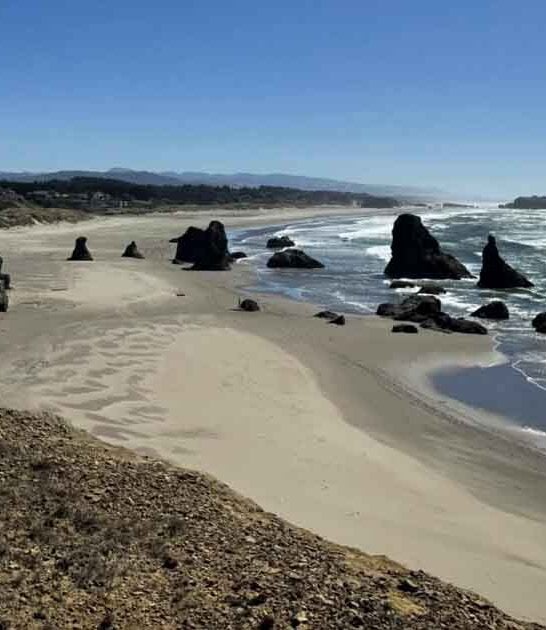 most easy oregon trails ftr