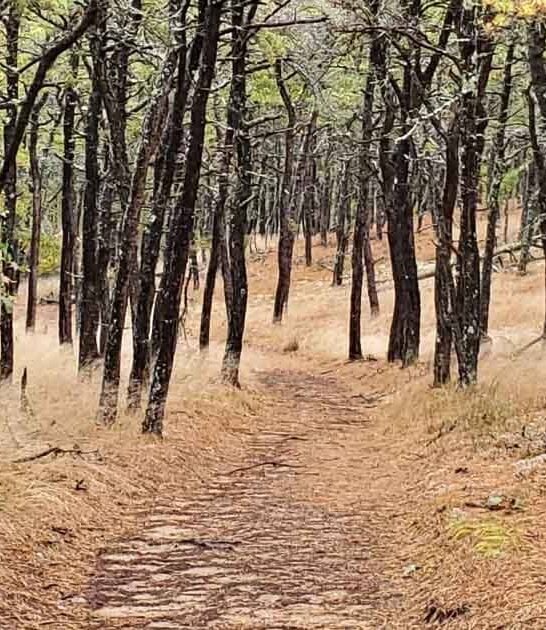 most enchanting places massachusetts ftr