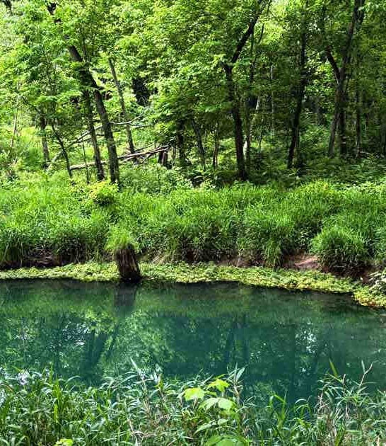 most underrated park kentucky ftr