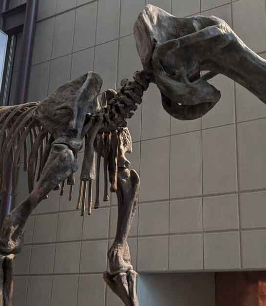 most visited museum wisconsin ftr