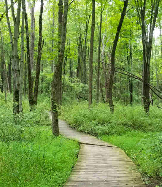 mountain preserve new jersey ftr