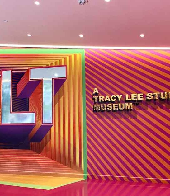 museum new jersey illusions ftr