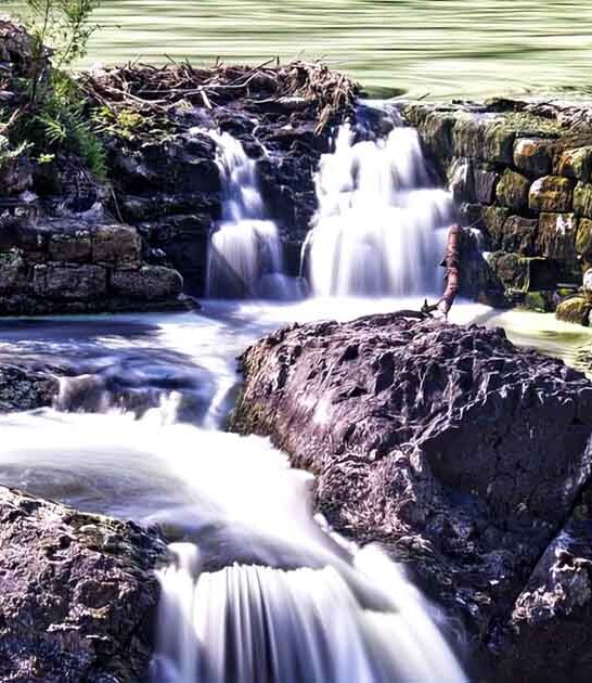 natural new jersey wonders ftr