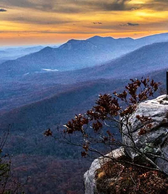 natural wonders south carolina ftr