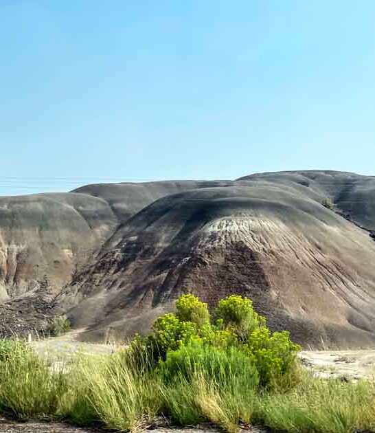 natural wonders texas surreal ftr