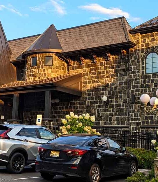 new jersey diner comfort ftr