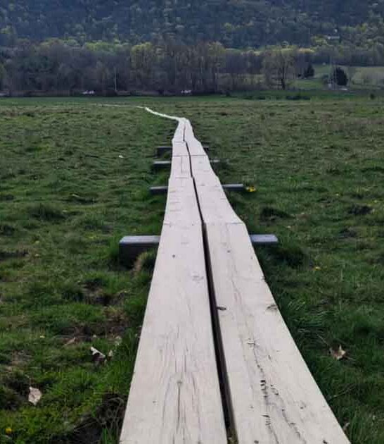 new jersey easy trails ftr