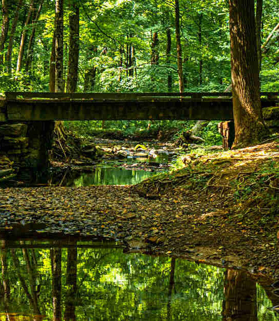 new jersey forest museum ftr