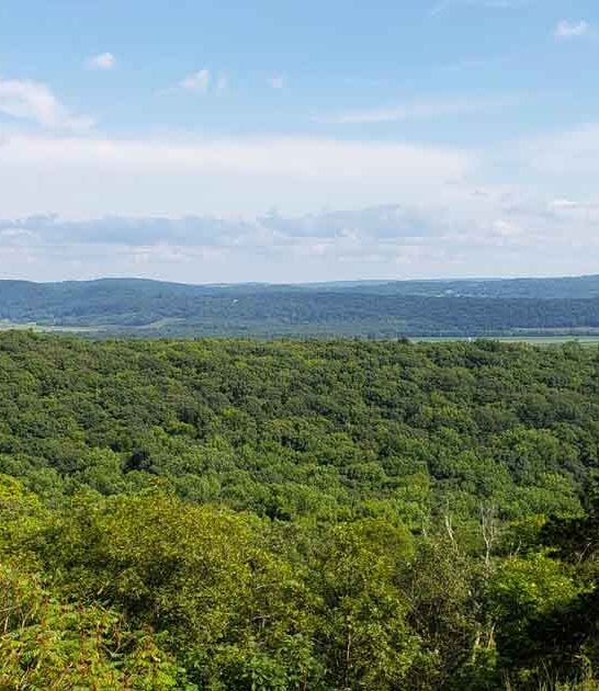 new jersey forest underrated ftr